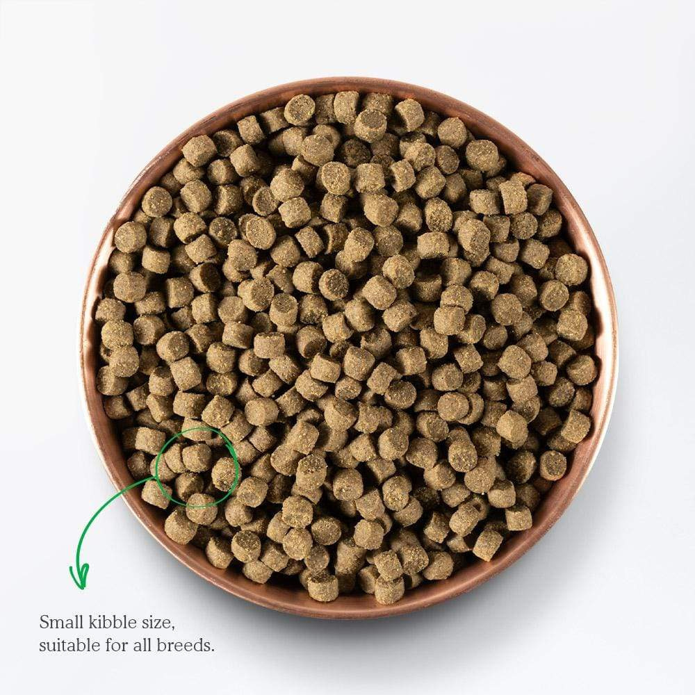 Open Farm Pasture-Raised Lamb & Ancient Grains Dry Dog Food - Serving ...